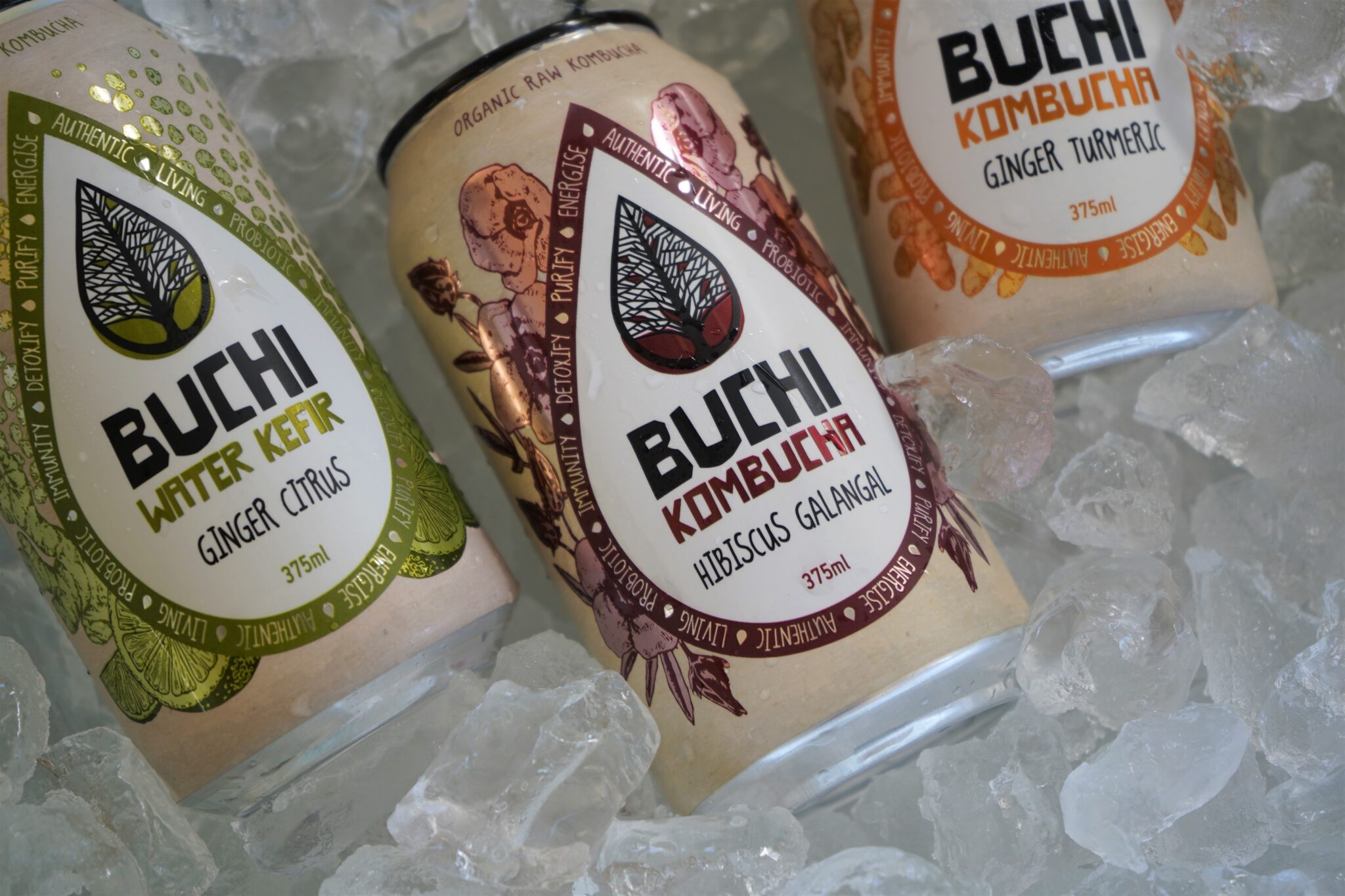 Buchi Hibiscus Galangal Kombucha - 16 x 375ml Cans - Buchi Kombucha